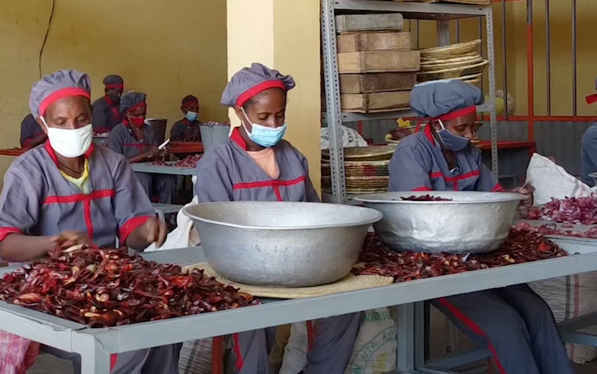 Heirloom Imported Ethiopian Spices and Herbs – Brundo Spice Company