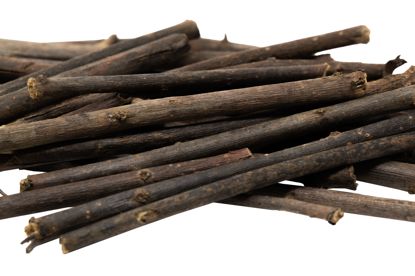 Gesho Entchet | Hops Stems – Brundo Spice Company